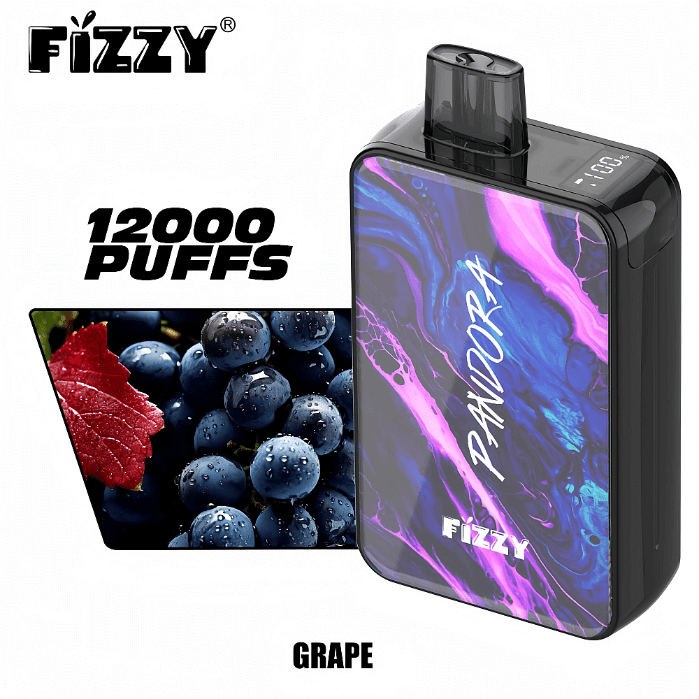 Fizzy Pandora 12k 12000 Puffs Disposable Vape Pen 2% 5% Nicotine ...