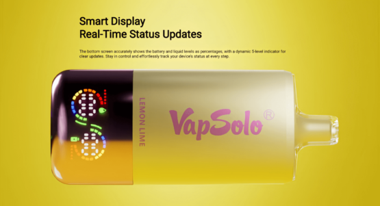 VapSolo Triple 30000 30K Puffs Einweg-Vape 2% 5% Nikotin 10 ...